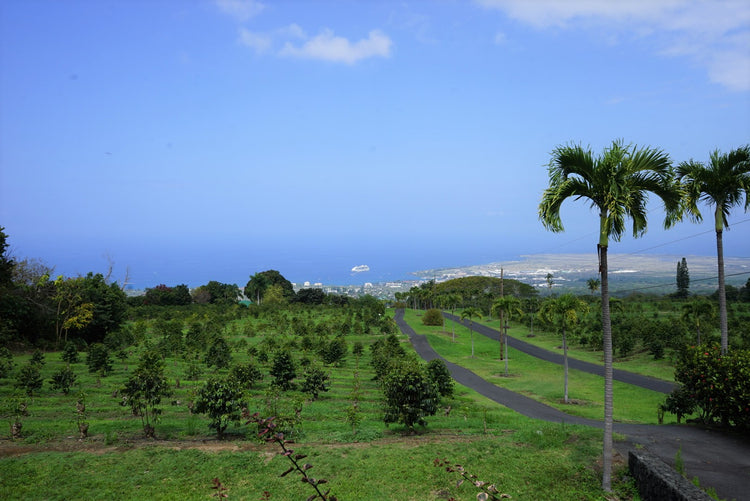 UCCハワイコーヒーを購入する – UCC HAWAII